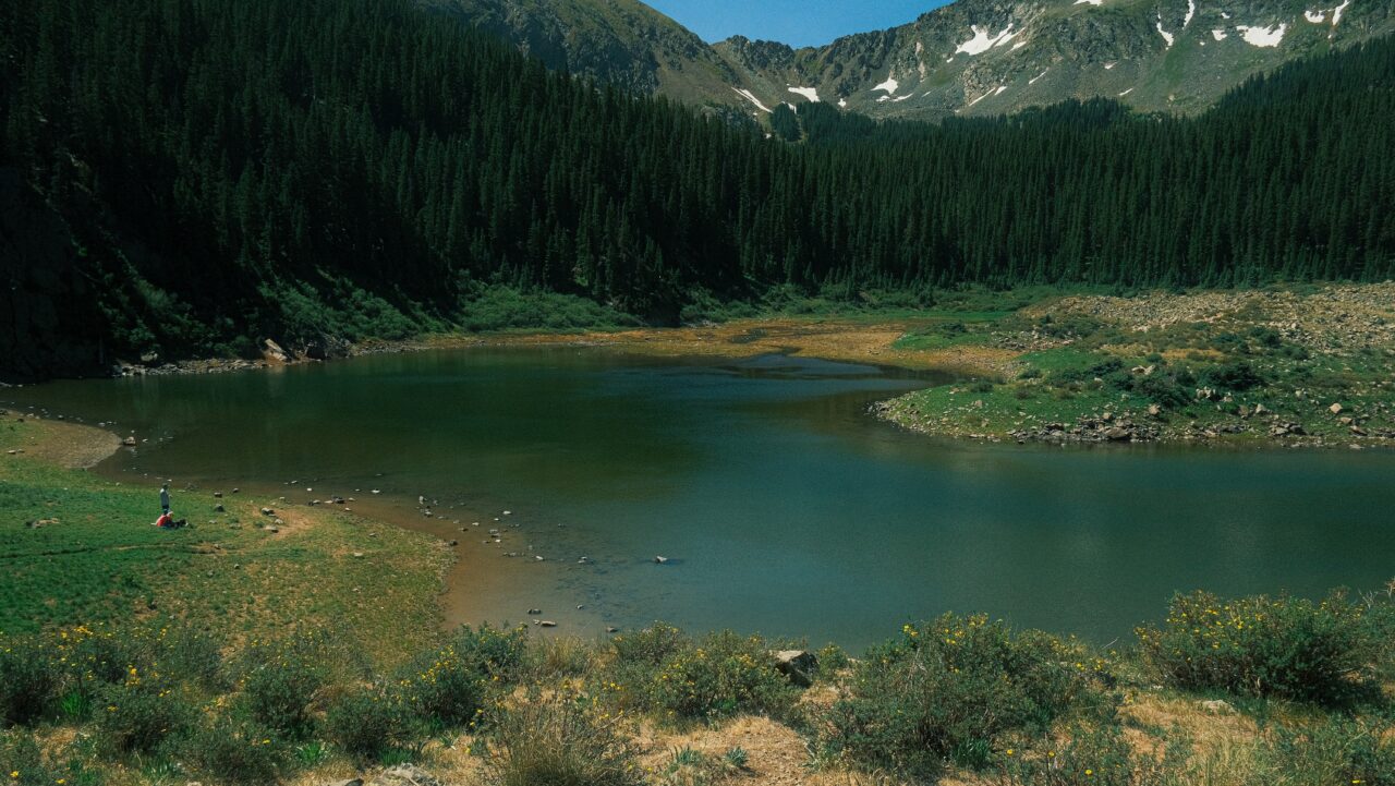 Restoring New Mexico Landscapes | Noxious Weeds of Northern NM
